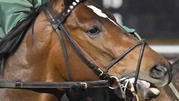 Proxy | America's Best Racing