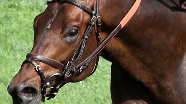Remember Mamba | America's Best Racing