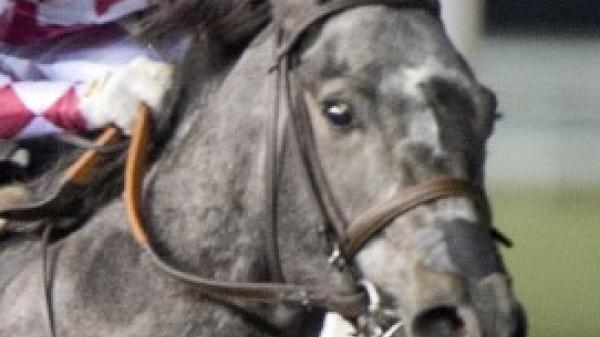 Renegade Rebel | America's Best Racing