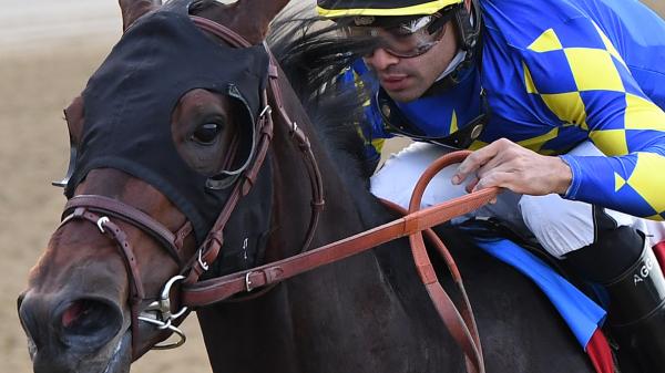 Rockefeller | America's Best Racing