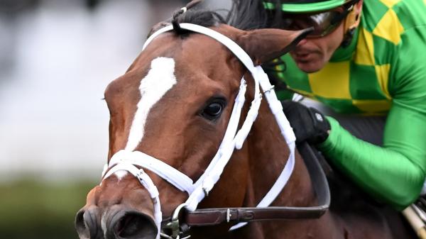 Shamrocket | America's Best Racing