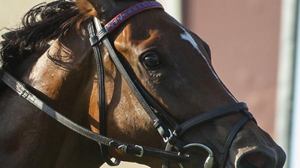 Spendarella | America's Best Racing