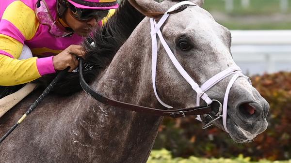 Tapit Trice | America's Best Racing
