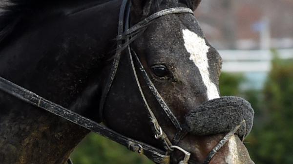 Three Technique | America's Best Racing