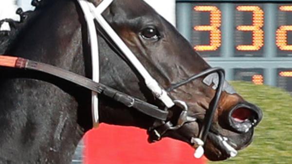 Time for Truth | America's Best Racing