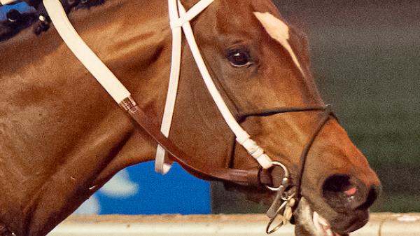 Track Phantom | America's Best Racing