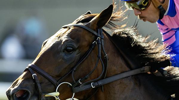 Unrivaled Time | America's Best Racing