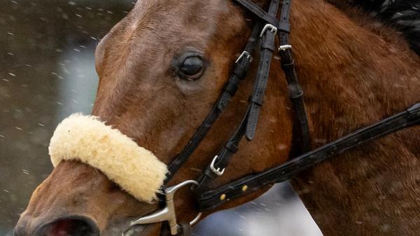 Verity | America's Best Racing