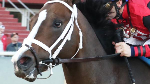 Victory Formation | America's Best Racing