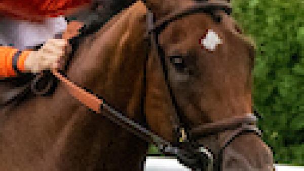 Aspray | America's Best Racing