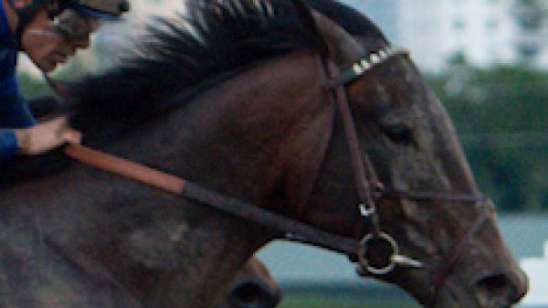 Sovereignty | America's Best Racing