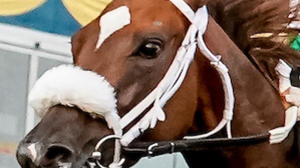 Last Call | America's Best Racing
