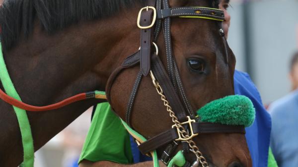 Judge Lanier Racing | America's Best Racing