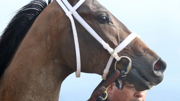 Repole Stable, Eclipse Thoroughbred Partners and House, Michael ...