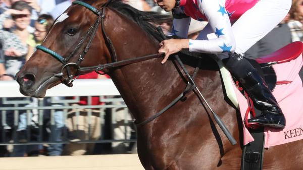Warren, Andrew N. and Warren, Rania | America's Best Racing