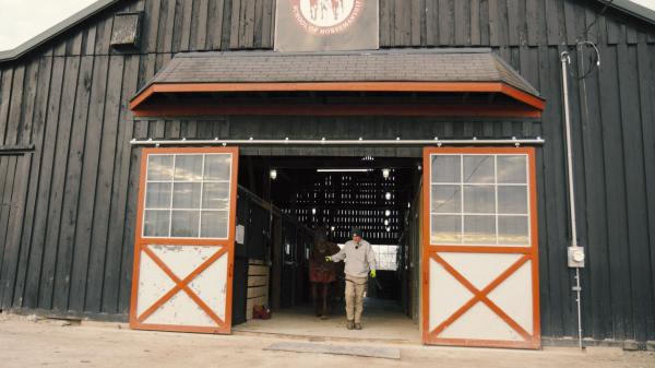 Stable Recovery: Horses Hold the Power on Path to Lasting Sobriety ...