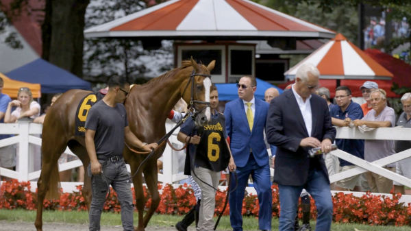 What to Look For When Watching Horses Prepare to Race in the Paddock ...