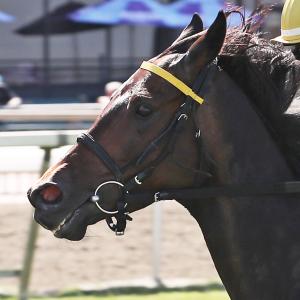 Anthony W. Dutrow | America's Best Racing