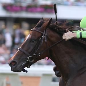 Lael Stables | America's Best Racing