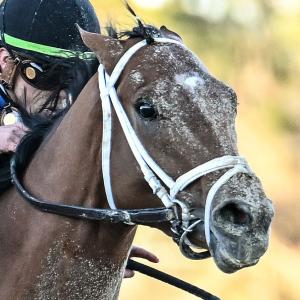 Renegade | America's Best Racing
