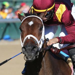 Robert N. Falcone, Jr. | America's Best Racing