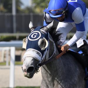 Michael Dini | America's Best Racing