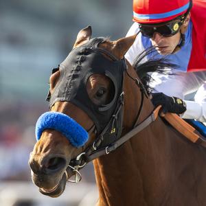 America's Best Racing