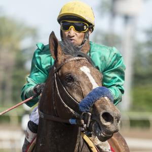 Campaign | America's Best Racing