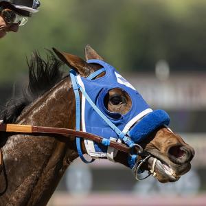 Antonio Fresu | America's Best Racing