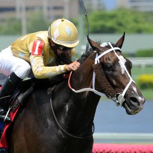 Patrick L. Biancone | America's Best Racing