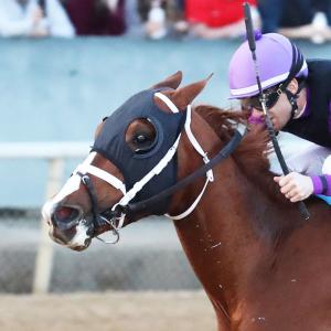 Eyeing Clover | America's Best Racing