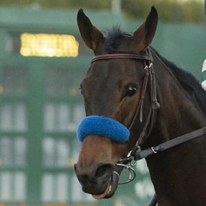 Michael Lund Petersen | America's Best Racing