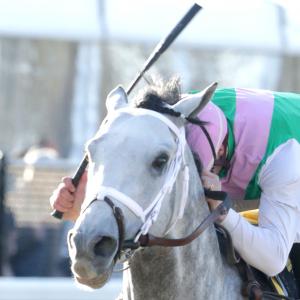 Final Gambit | America's Best Racing