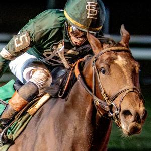 Golden Tempo | America's Best Racing