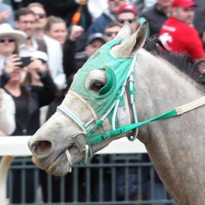 William Stinson, Jr. | America's Best Racing