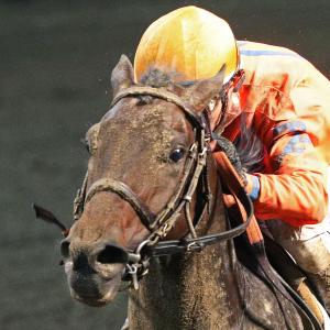 D. Whitworth Beckman | America's Best Racing