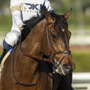 Dan Blacker | America's Best Racing