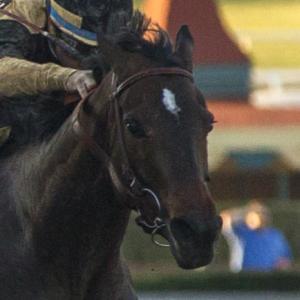 Patrick Gallagher | America's Best Racing