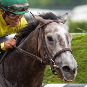 Melanie Giddings | America's Best Racing