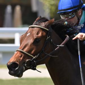 Ian R. Wilkes | America's Best Racing