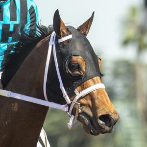 Larry Rivelli | America's Best Racing