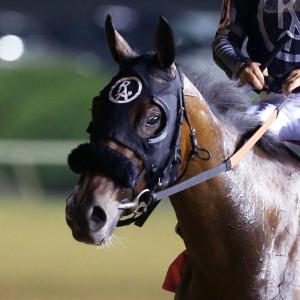 Georgina Baxter | America's Best Racing