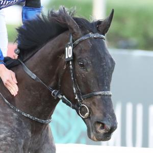Charles Appleby | America's Best Racing