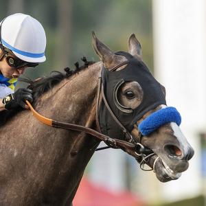 SF Racing, Starlight Racing, Madaket Stables, et al | America's Best Racing