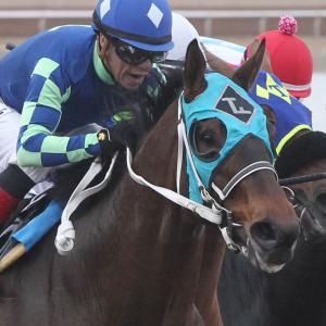 Todd W. Fincher | America's Best Racing