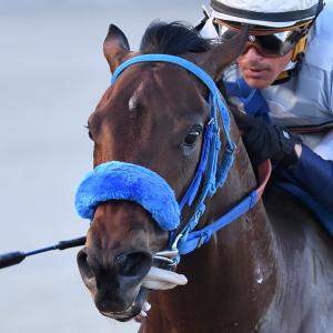 Tami Bobo | America's Best Racing