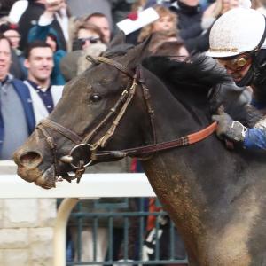 Jeff Drown | America's Best Racing