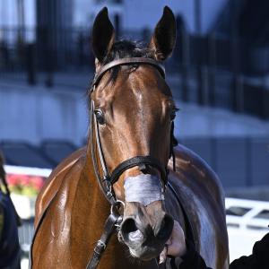 Daniel Leitch | America's Best Racing