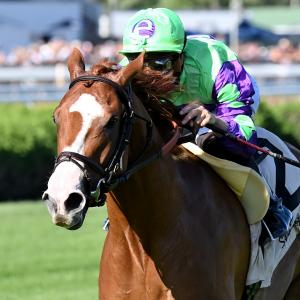 Carl Spackler (IRE) | America's Best Racing