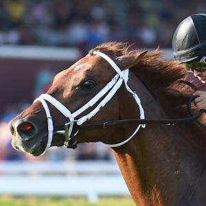 Jack Sisterson | America's Best Racing